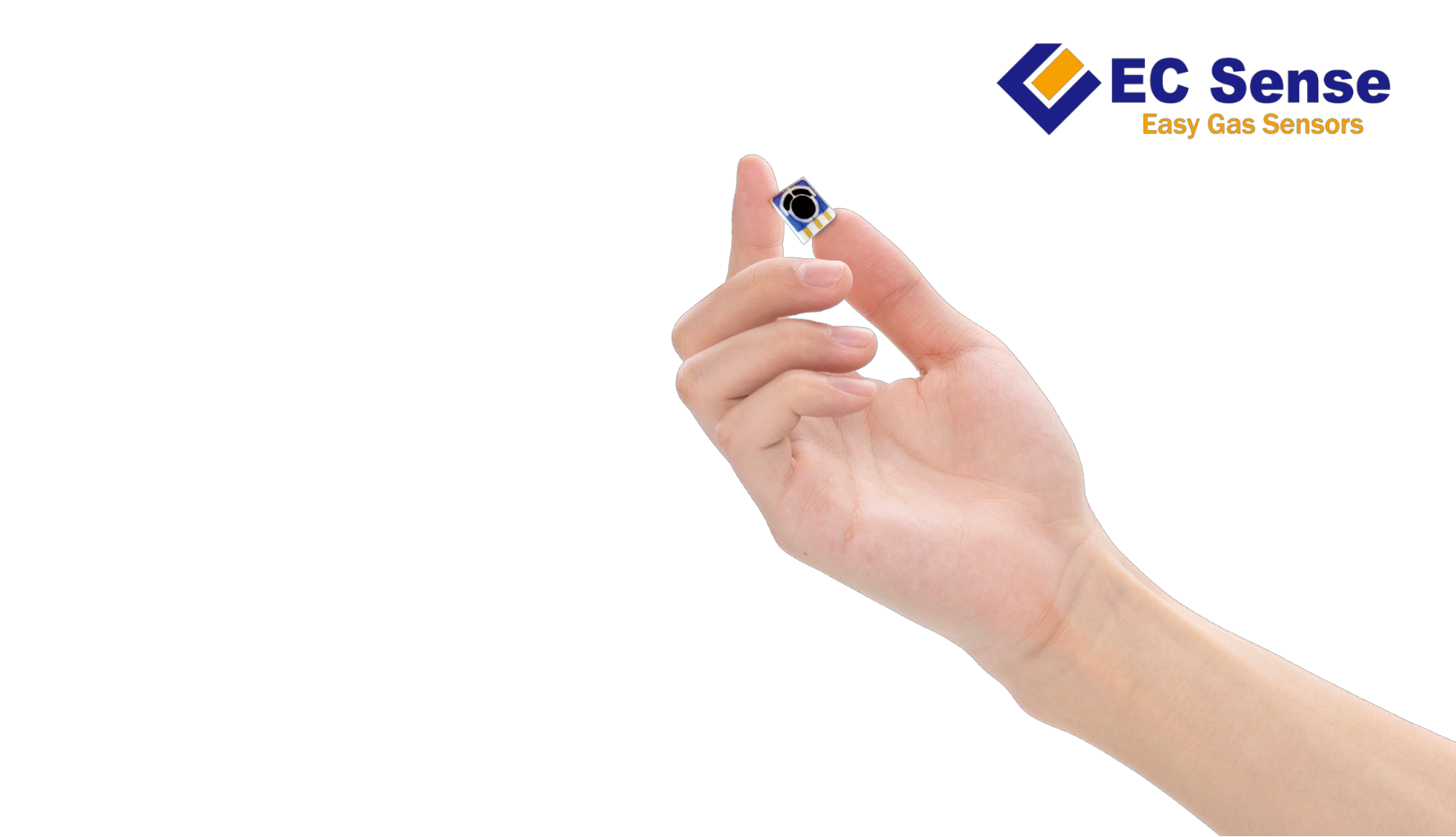 Solid Polymer Electrochemical Gas Sensor Technology – EC Sense