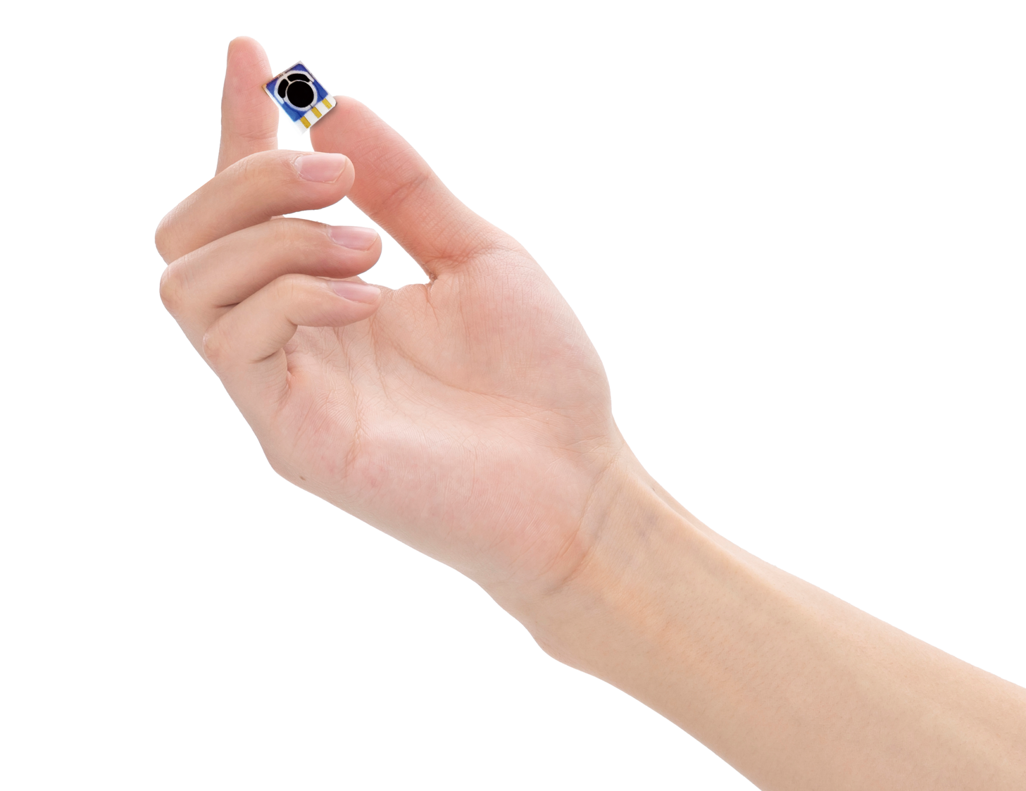 H2 Hydrogen Gas Detection with Electrochemical Gas Sensors – EC Sense