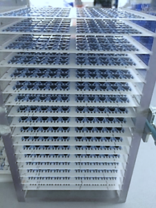 Solid Polymer Electrochemical Gas Sensor Technology – EC Sense